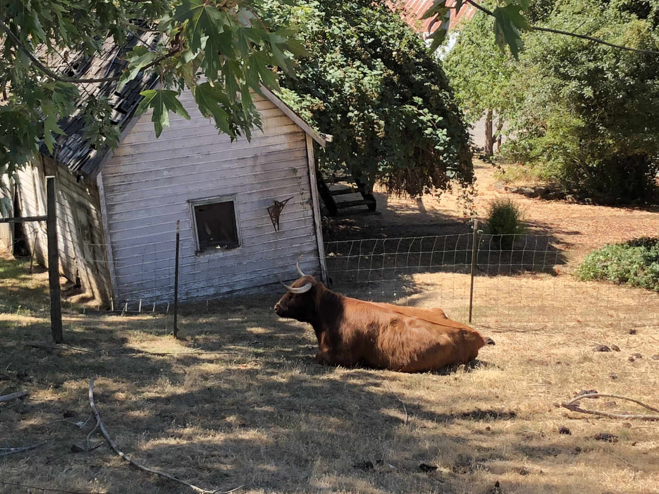 The Collaborate Team Works & Plays Together In Portland