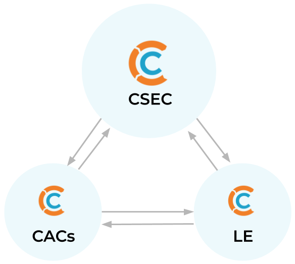 Collaborate Expands to More Child Service Programs